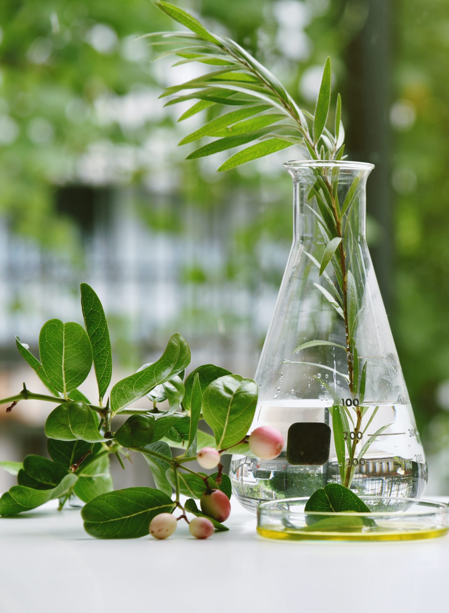 COMPOSANTS DES ROUGES A LÈVRES - Le Rouge Français